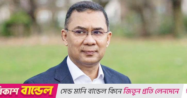 যাকেই মনোনয়ন দেওয়া হবে, তার পক্ষে কাজ করতে হবে: তারেক রহমান