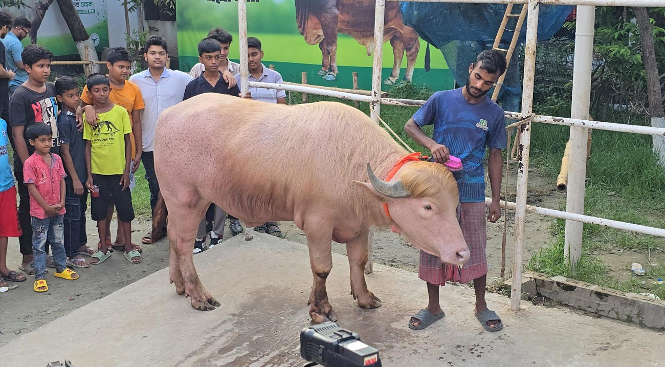 ‘ইন্না লিল্লাহি ওয়া ইন্না ইলাইহি রাজিউন’ পড়ার গুরুত্ব ও ফজিলত